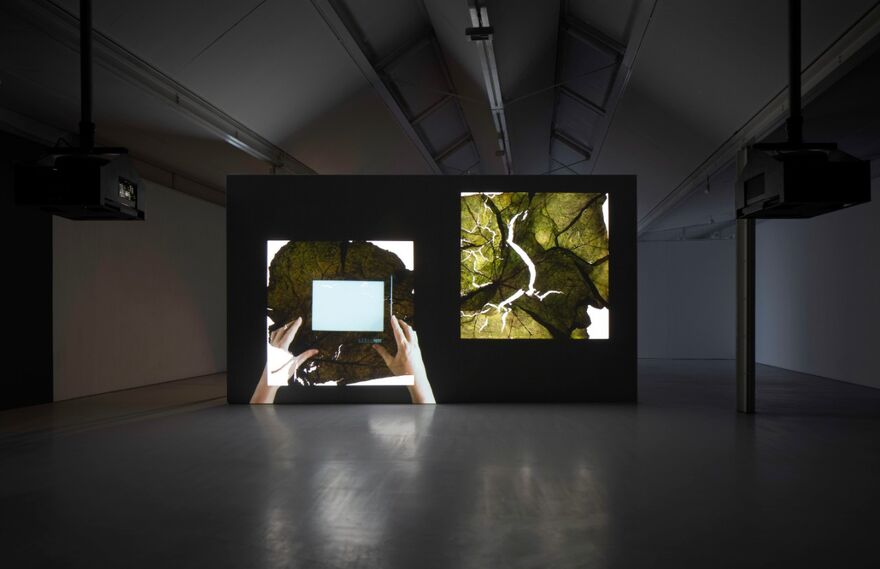 Stuart Whipps | Dundee Contemporary Arts