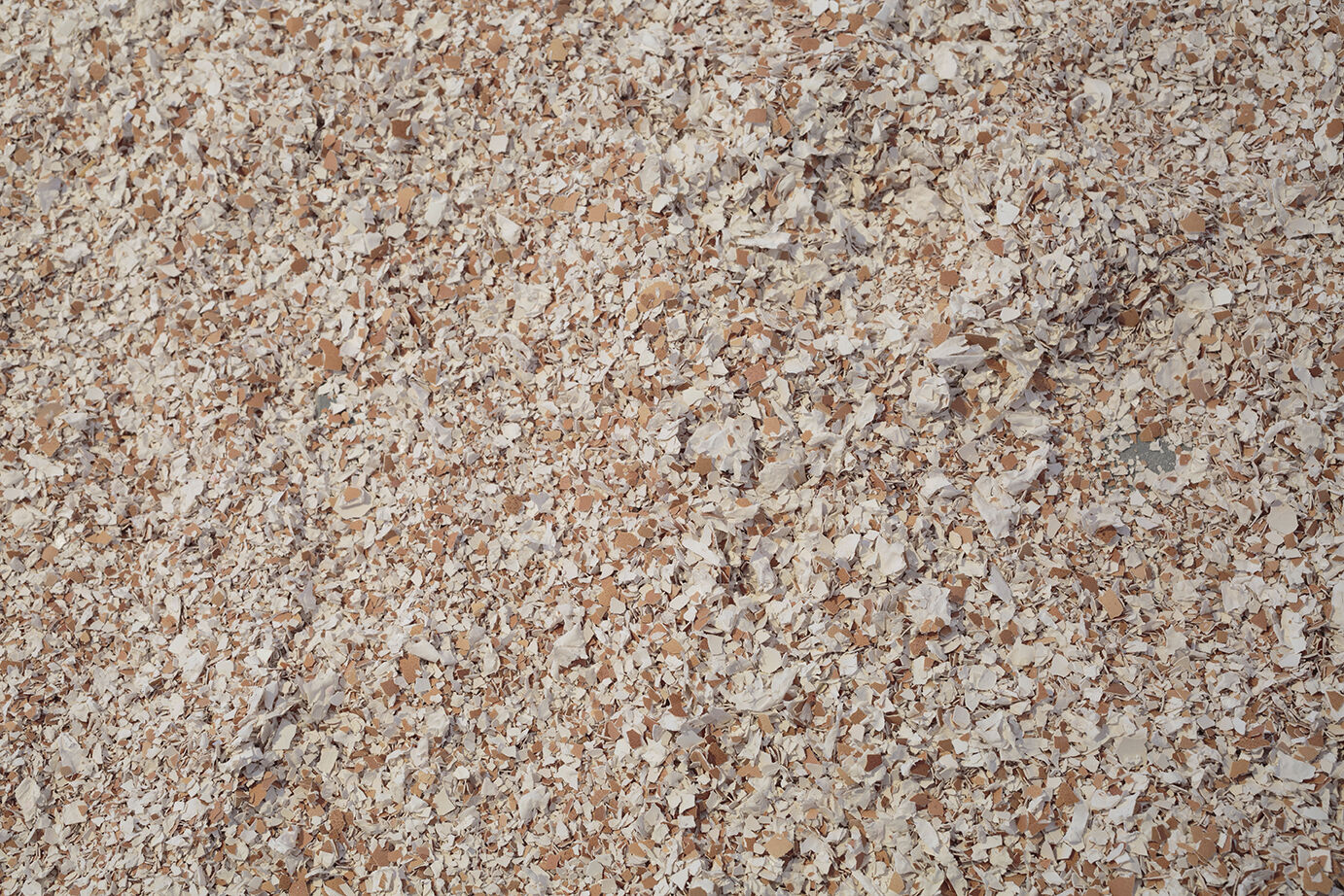 Kate V Robertson | Dundee Contemporary Arts