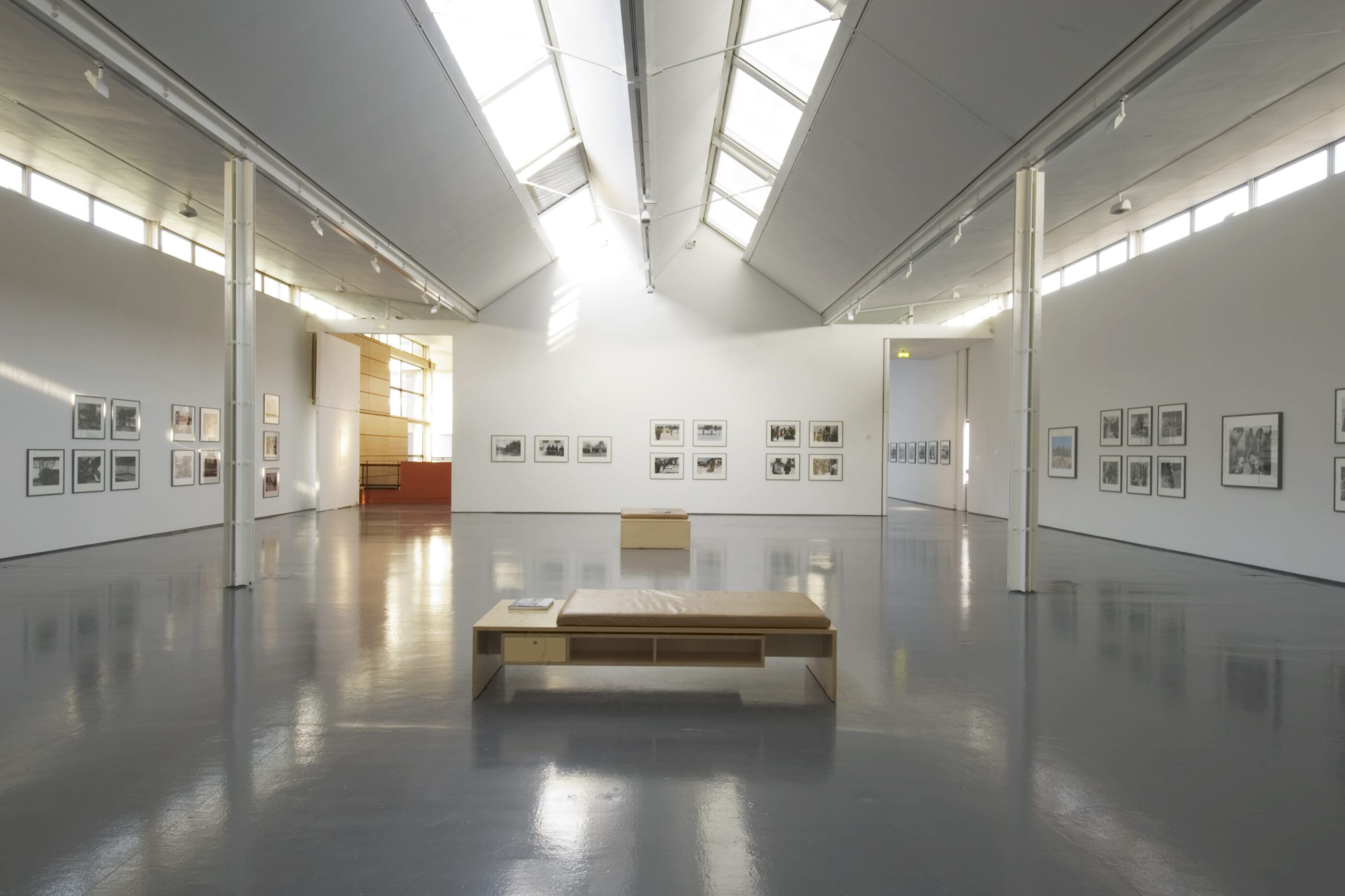 Ahlam Shibli | Dundee Contemporary Arts