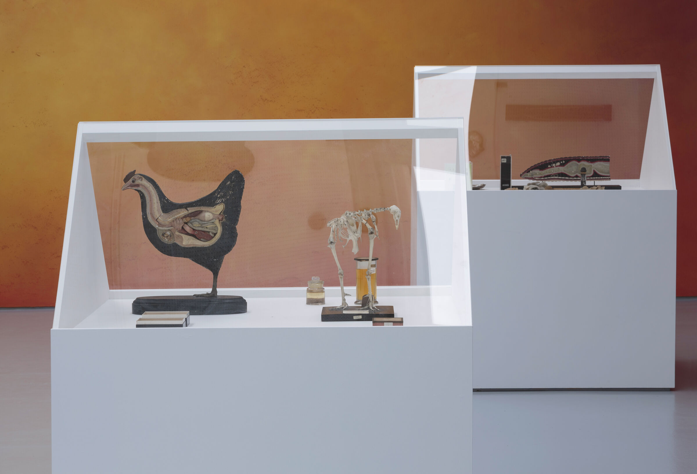 Seized by the Left Hand | Dundee Contemporary Arts