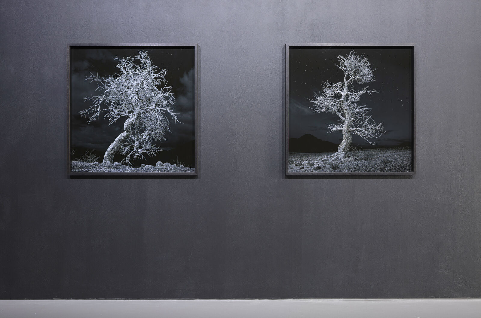 Kelly Richardson | Dundee Contemporary Arts