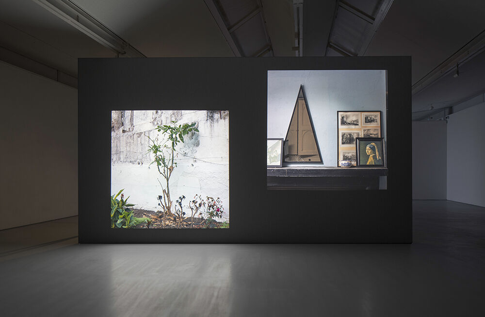 Stuart Whipps | Dundee Contemporary Arts