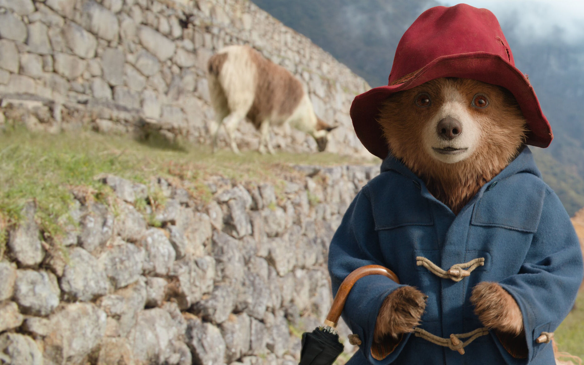 What's on in Cinema | Dundee Contemporary Arts