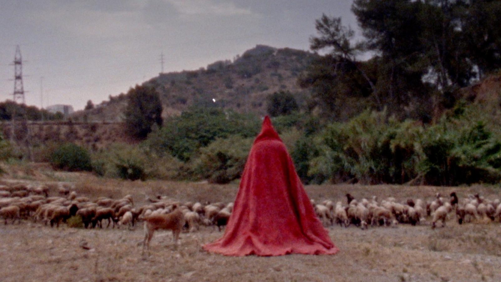 Catalan Film Festival Short Films | Dundee Contemporary Arts